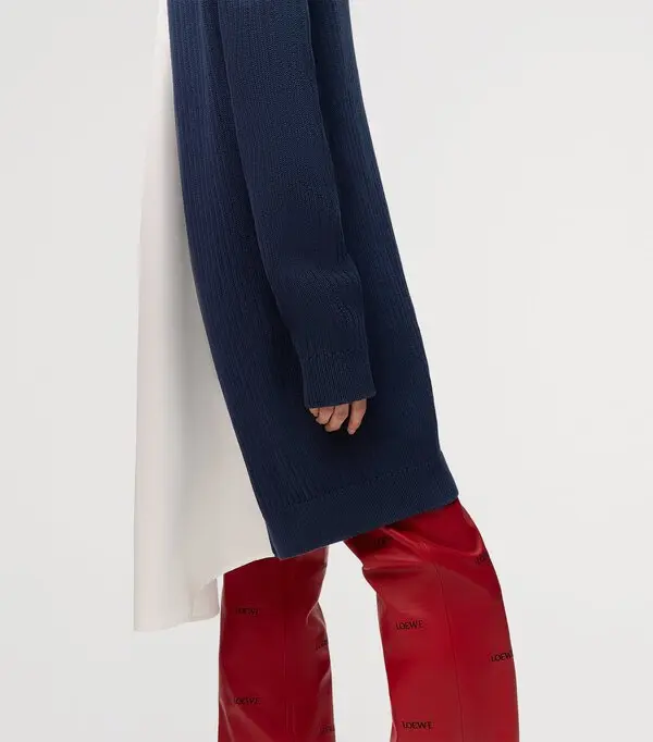 Loewe Layered Shirt-sweater Mini Dress