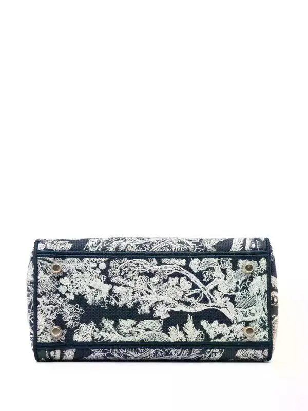 Dior 2021 Medium Embroidered Canvas Toile De Jouy Lady D Lite Satchel - Blue