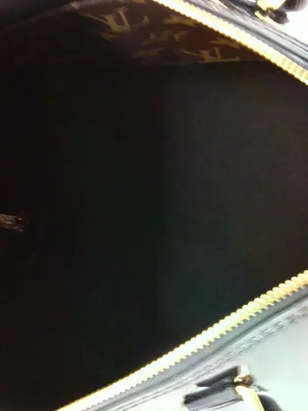 LOUIS VUITTON Monogram Canvas Vernis Pm Satchel Handbag - Black