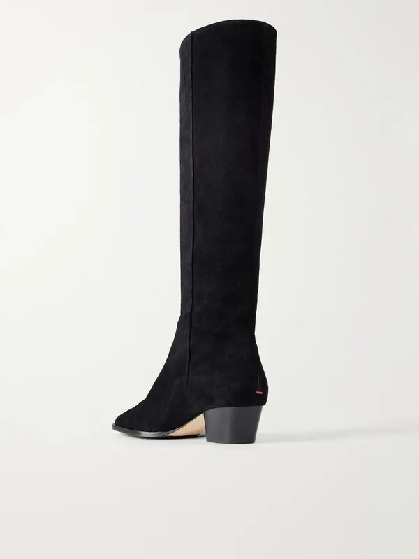 AeydĒ Medea 40 Suede Knee Boots