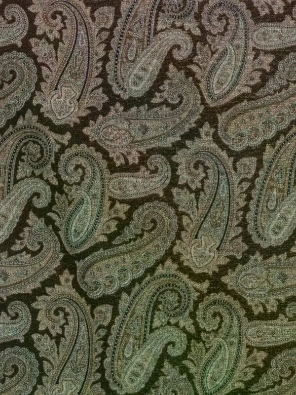Kiton Paisley-print Fringed Scarf