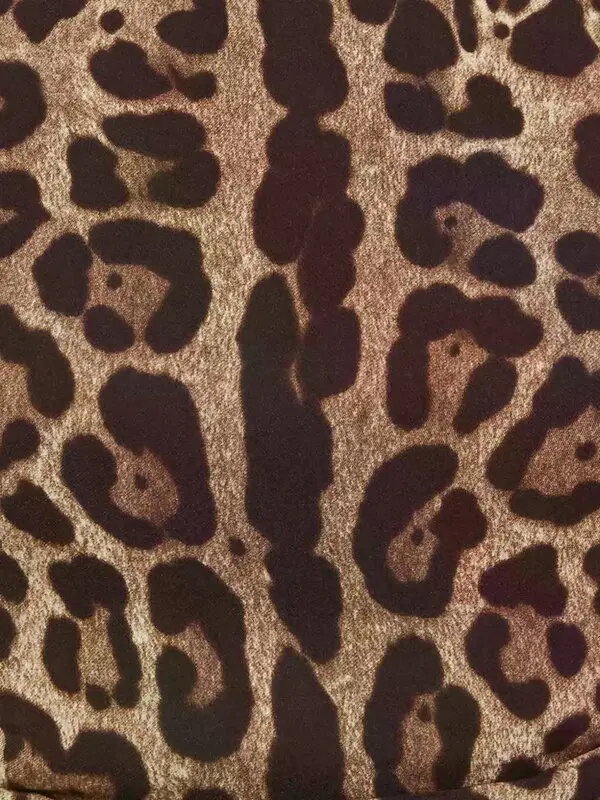 Dolce & Gabbana Leopard And Floral-print Dress