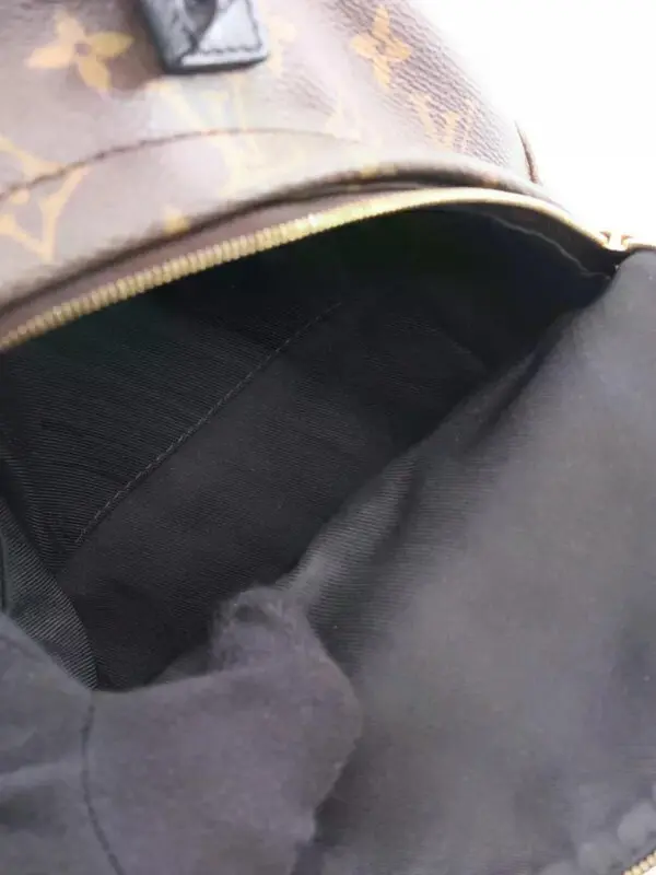 LOUIS VUITTON Monogram Mini Palm Springs Backpack