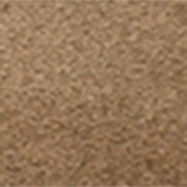 UGG Suede Tasman Ii Slippers