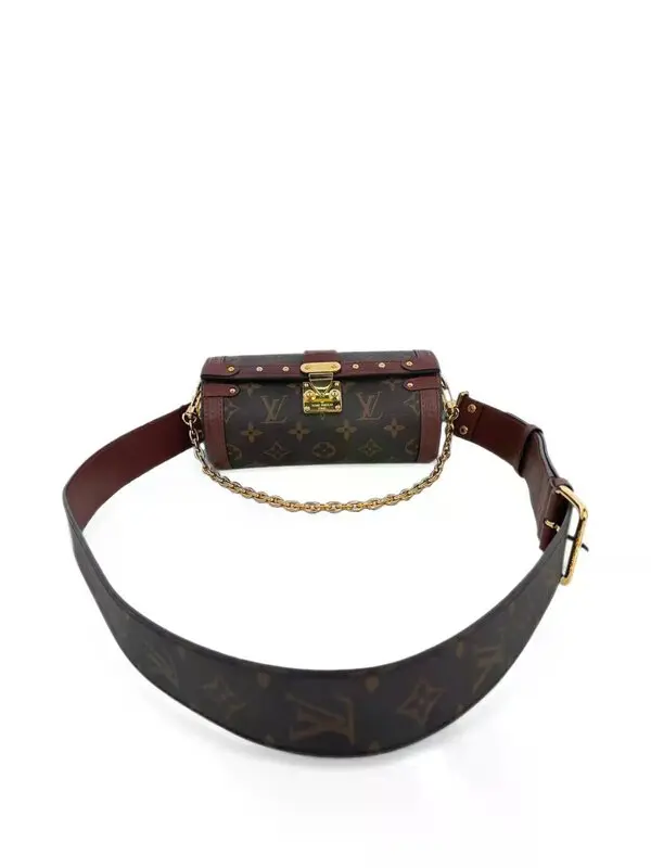 LOUIS VUITTON Papillon Trunk Bag
