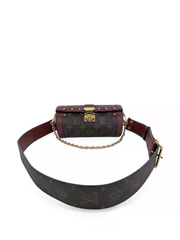 LOUIS VUITTON Papillon Trunk Bag