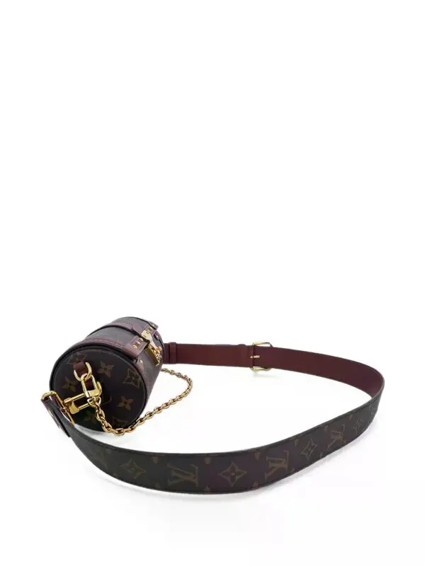 LOUIS VUITTON Papillon Trunk Bag