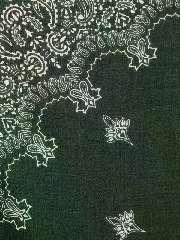 Destin Paisley-print Wool Scarf