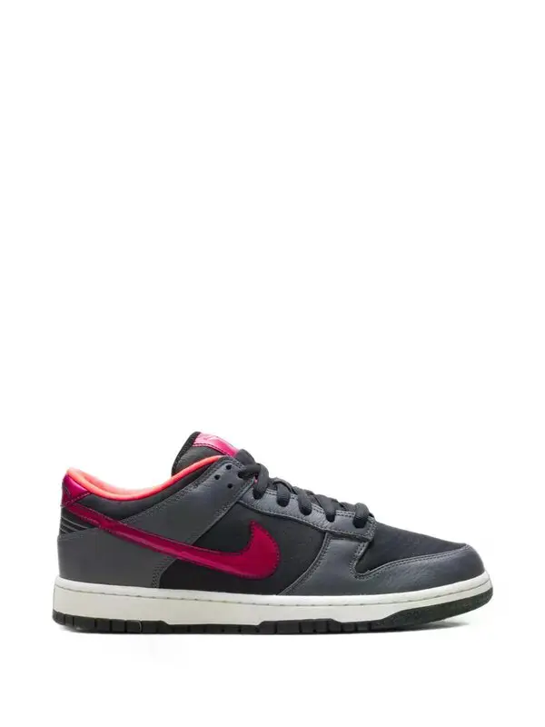 Nike Dunk Low Protro Sneakers