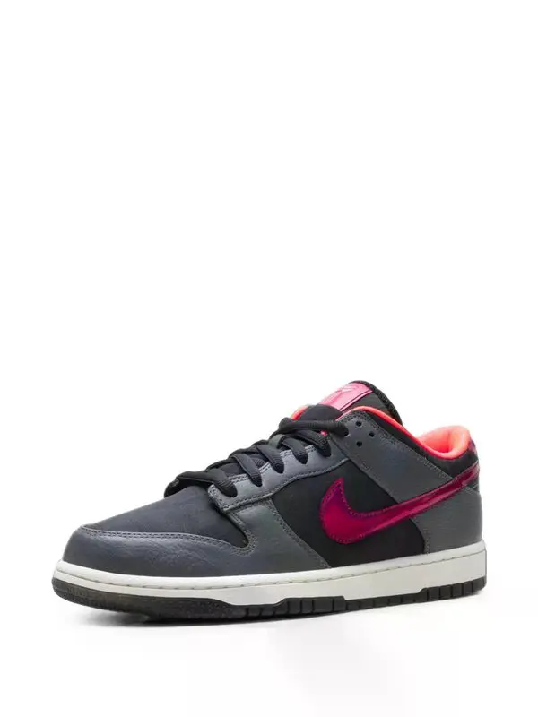 Nike Dunk Low Protro Sneakers