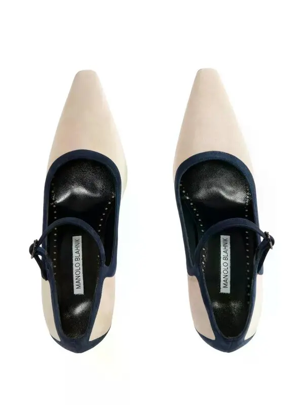 Manolo Blahnik Churla Pointed-toe Pumps