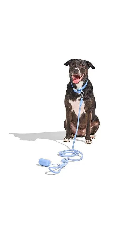 WILD ONE Rope Leash - Blue