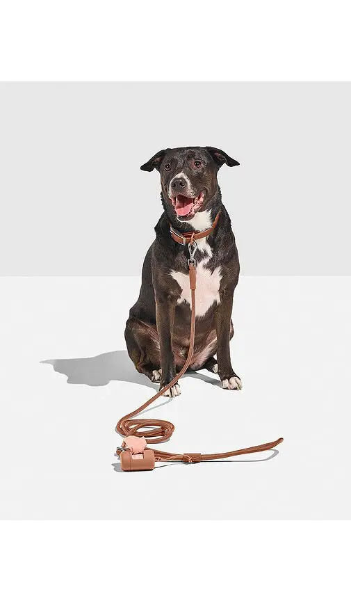 WILD ONE Rope Leash - Brown