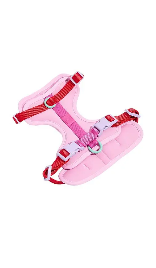 WILD ONE Extra Small Harness
