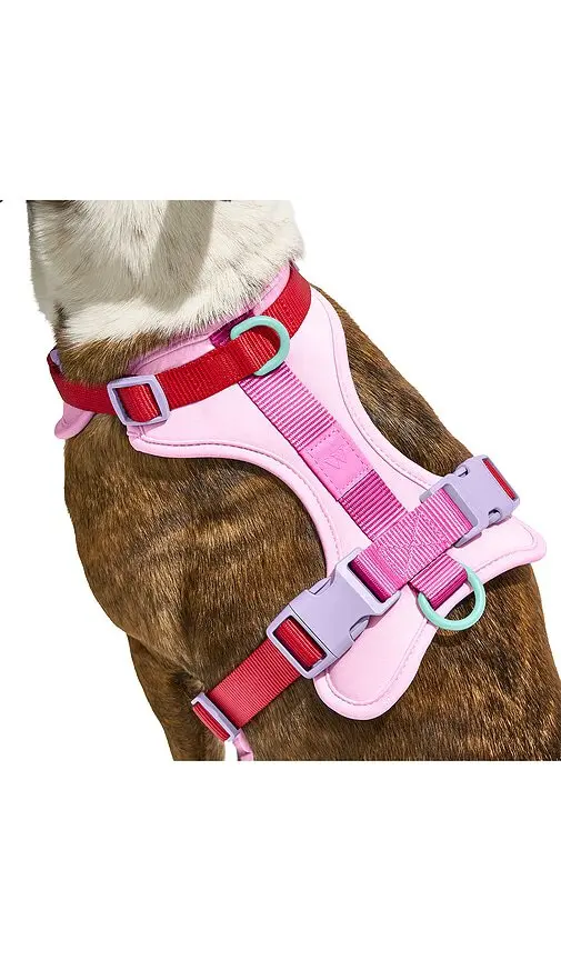 WILD ONE Extra Small Harness