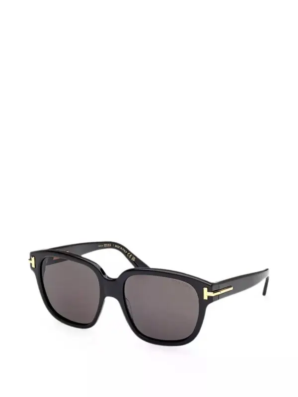 TOM FORD Icon Butterfly Sunglasses