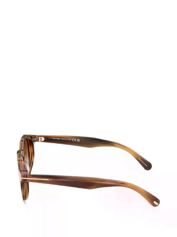 TOM FORD Thomas Sunglasses