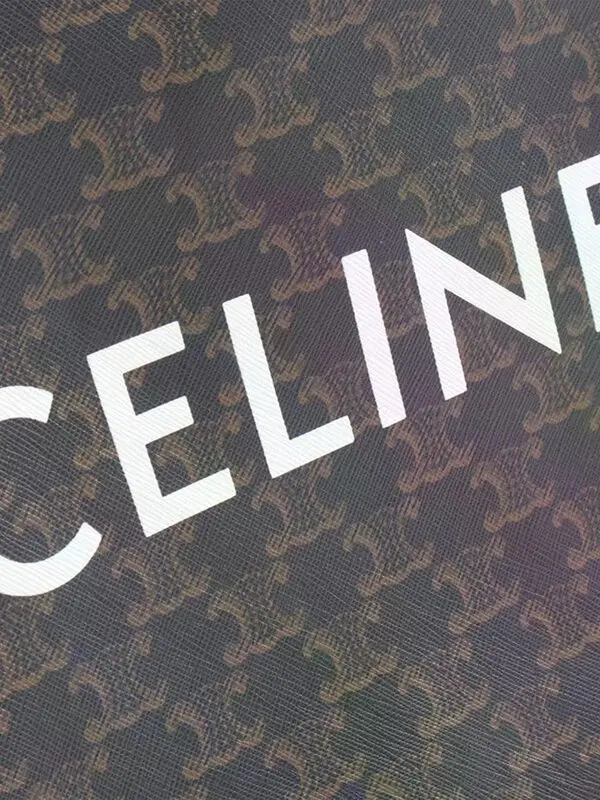 Celine Small Triomphe Coated Canvas Vertical Cabas Tote Satchel