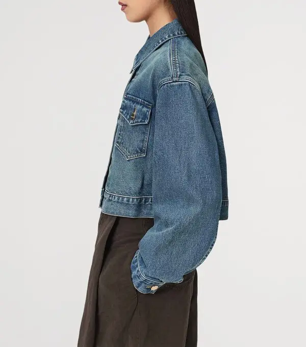 ALLSAINTS Blink Cropped Denim Jacket