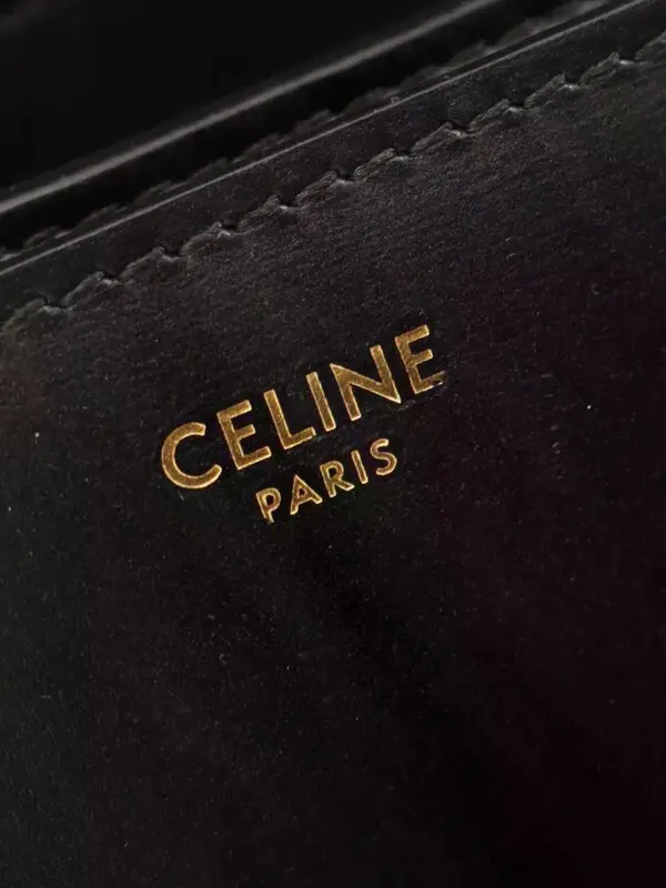Celine 2000-2026 Medium Calfskin Classic Box Crossbody Bag