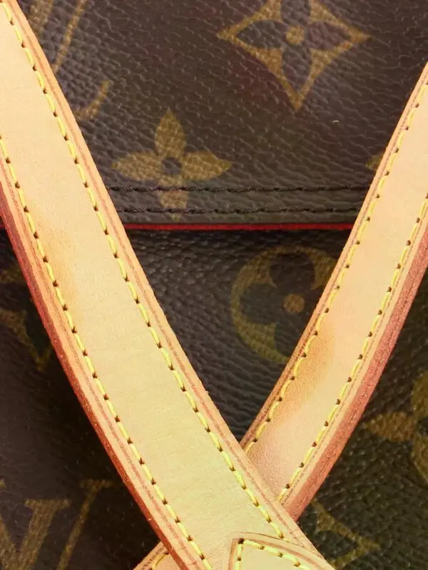 LOUIS VUITTON Monogram Canvas Viva Cite Pm Crossbody Bag