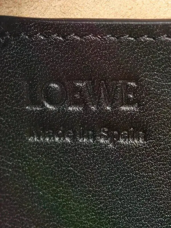 Loewe Leather Amazona 31 Cropped Bag Shoulder Bag