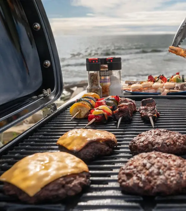 WEBER Traveler Stealth Portable Gas Bbq