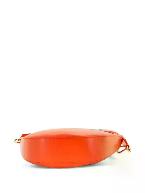 Loewe Luna Leather Hobo Bag