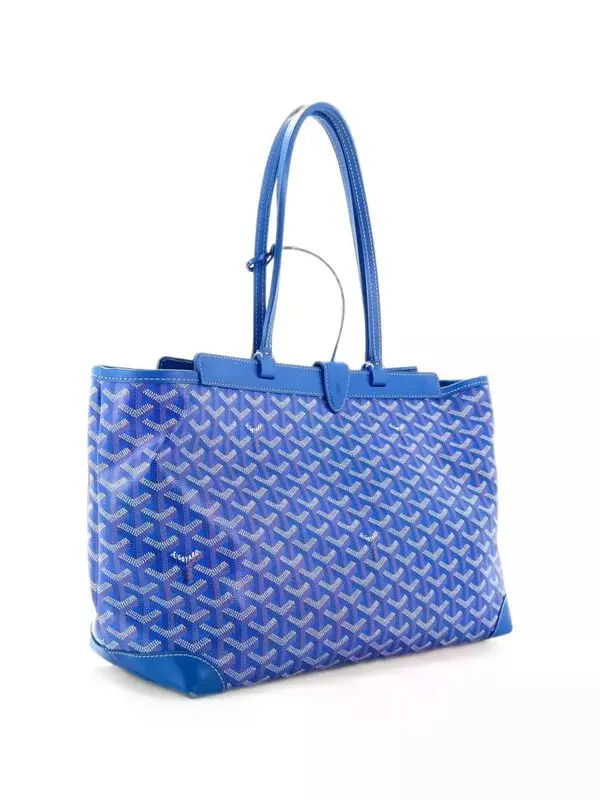 Goyard Bellechasse Bag Coated Canvas Pm Tote Bag