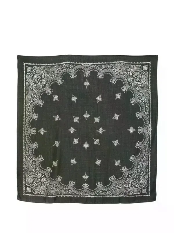 Destin Paisley-print Wool Scarf