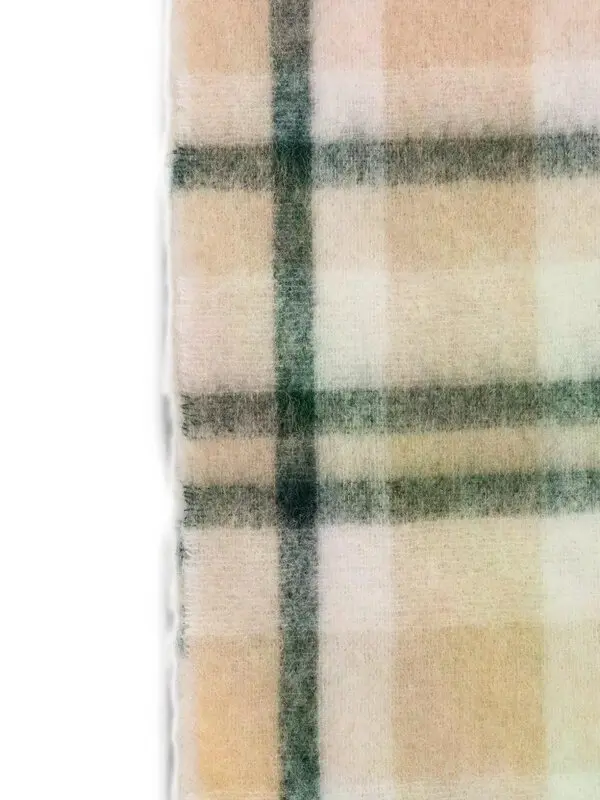 Closed Check-pattern Fringed Scarf