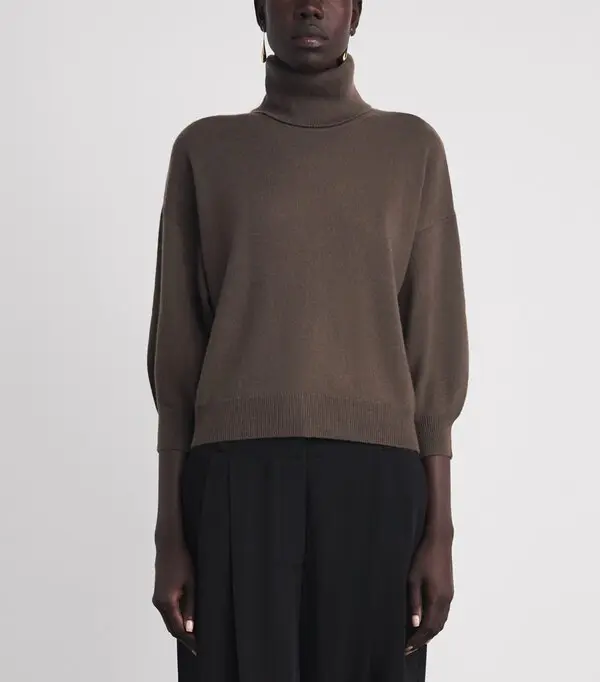 Max Mara Virgin Wool-cashmere Rollneck Sweater