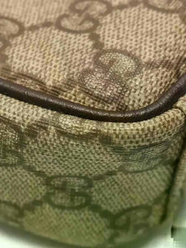 Gucci 2000s Gg Plus Cross Body Bag