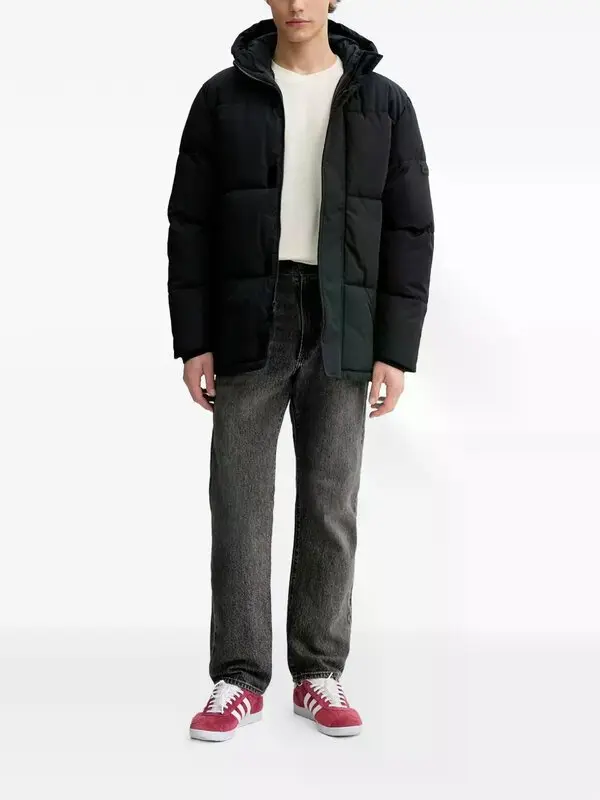 Hollister Hooded Puffer Coat
