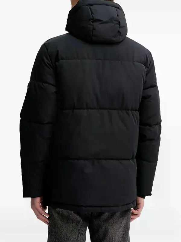 Hollister Hooded Puffer Coat