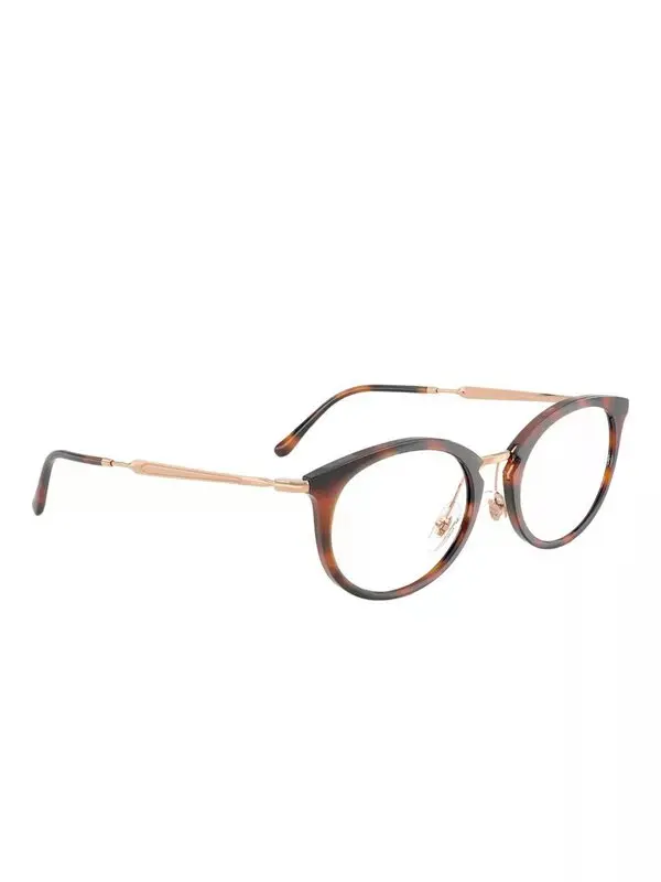 Ray-ban Tortoiseshell-effect Glasses