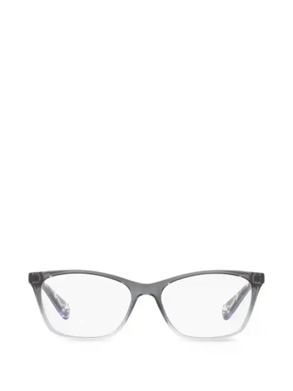Polo Ralph Lauren Gradient-effect Glasses