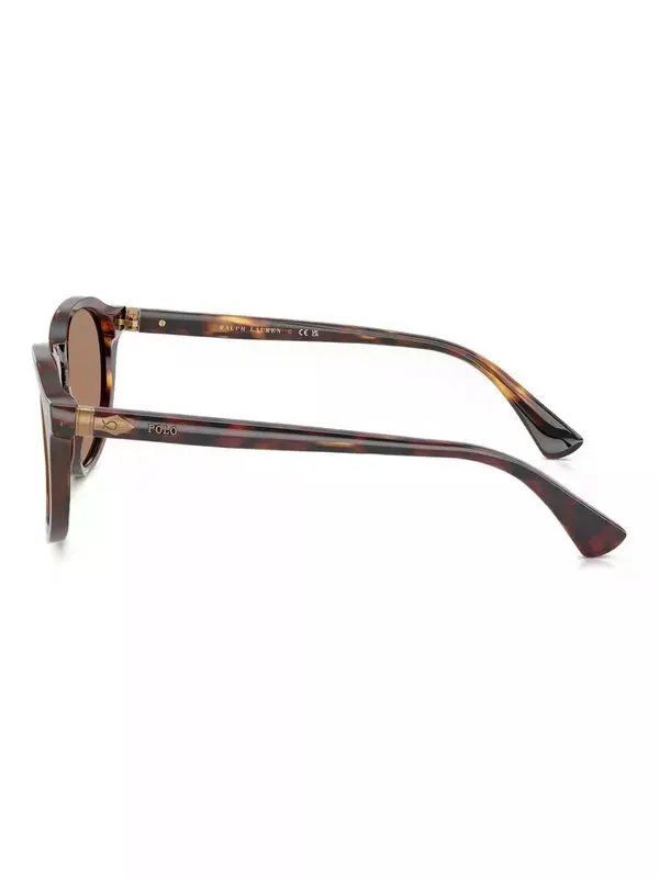 POLO RALPH LAUREN EYEWEAR Tortoiseshell Round Sunglasses