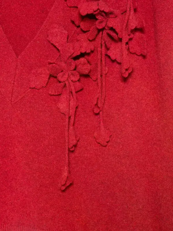 Alberta Ferretti Floral-appliqué V-neck Sweater