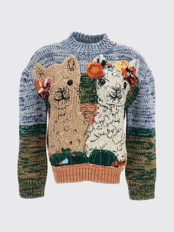 Stella McCartney Jumper Colour