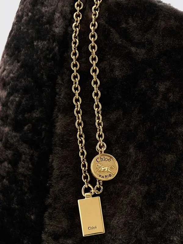 Chloé Handbag Colour