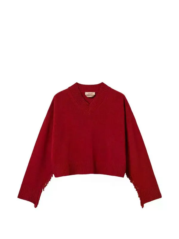 TWINSET Wool Blend Jumper With Fringes