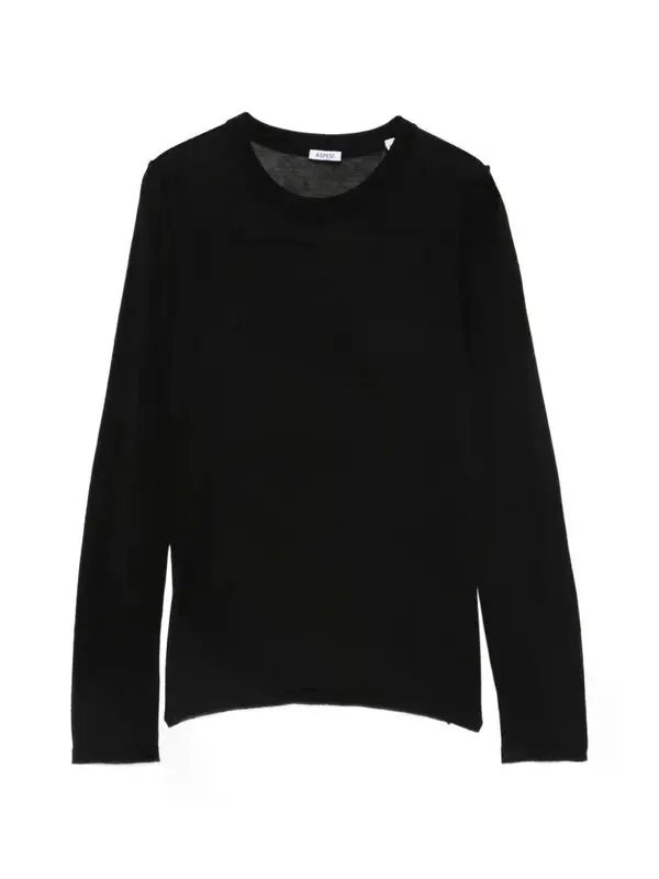 Aspesi Crew Neck Long-sleeve Sweater - Black