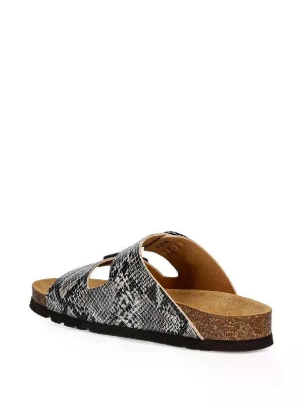 DR. SCHOLL'S SHOES Josephine Flat Sandals