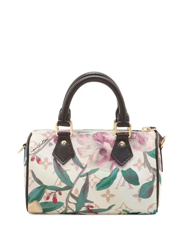 LOUIS VUITTON 2021-2026 Monogram Eden Nano Speedy Boston Bag