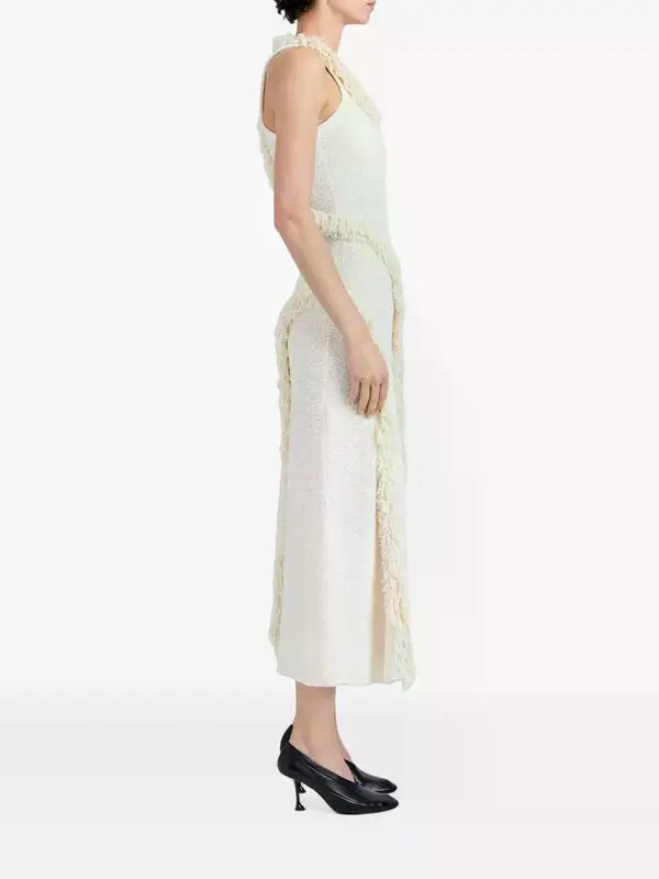 Proenza Schouler Nilo Fringe-trimmed Jacquard Dress - Neutrals