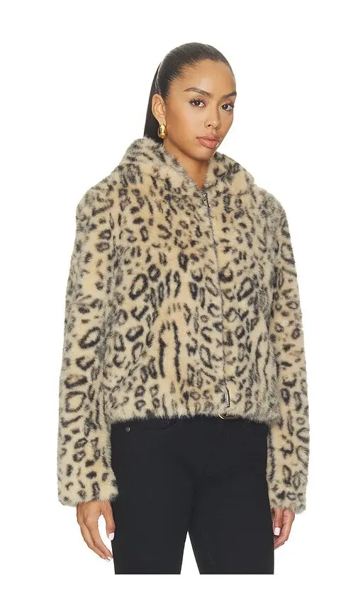 MOTHER The Hooded Polar Opposite In . Also