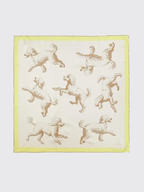 Jacquemus Scarf Colour - Multicolor
