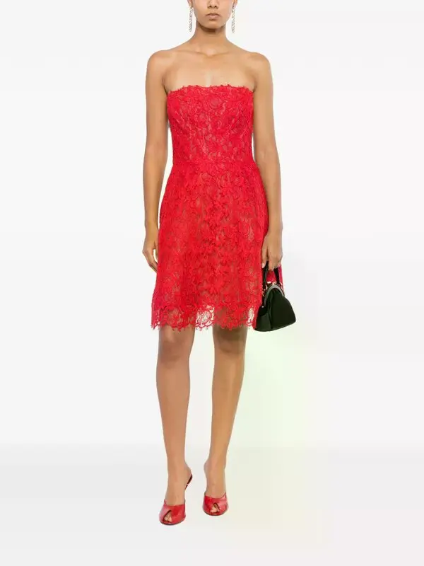 Monique Lhuillier Strapless Lace-embroidered Dress