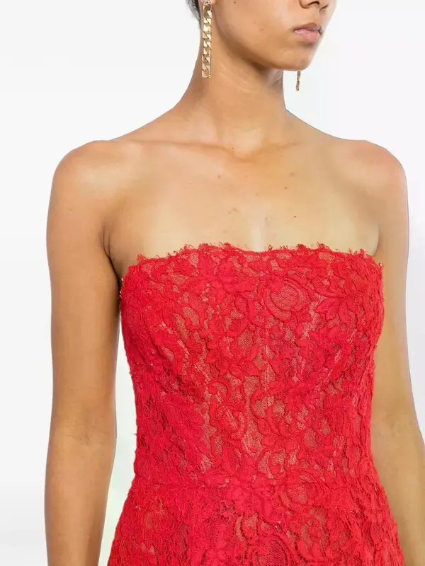 Monique Lhuillier Strapless Lace-embroidered Dress